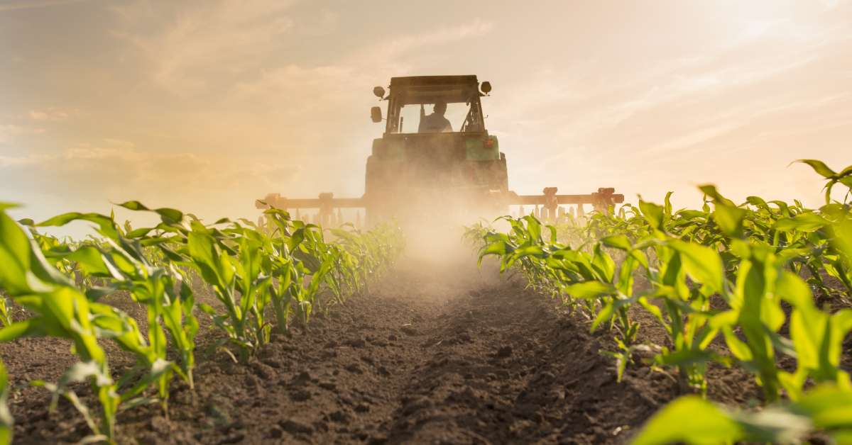 Most Effective Ways To Improve Crop Growth